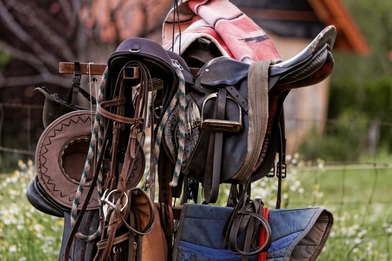 Western Saddlery and Their Significance - OVERINSIDER